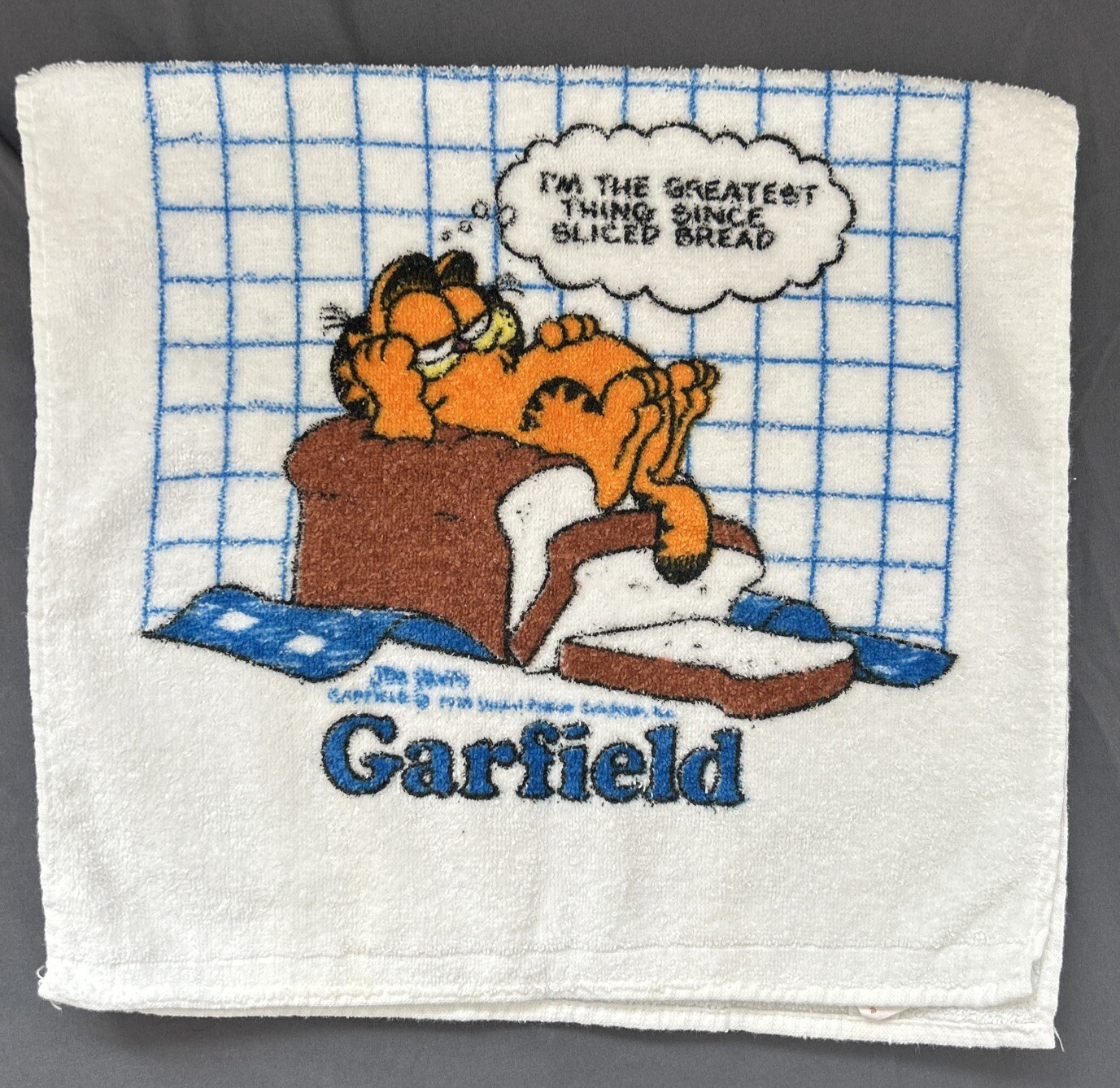 Vintage Garfield the Cat 1978 Hand Towel Cannon USA 24”X15” RARE Loaf ...