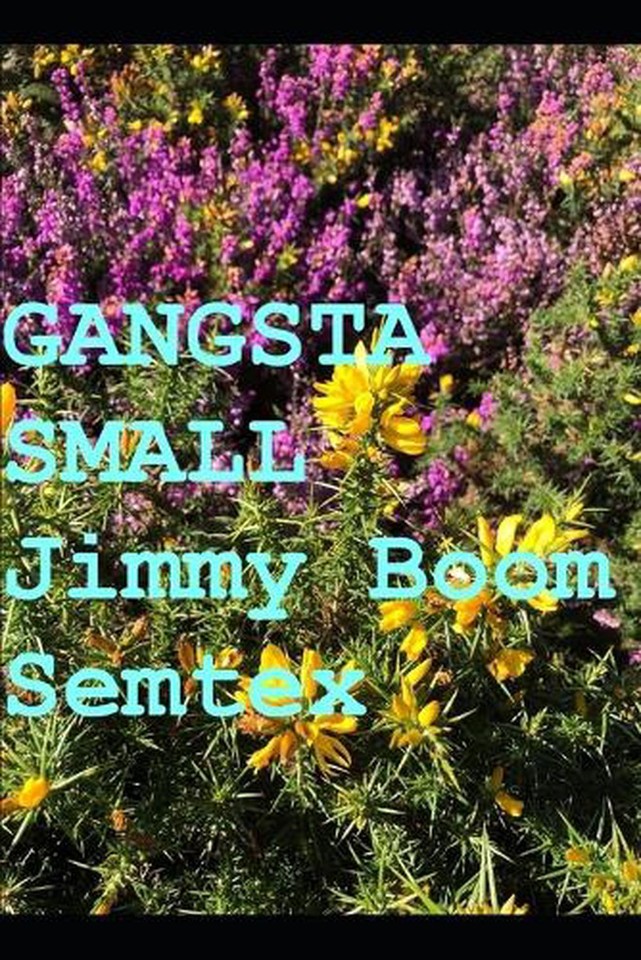 Gangsta Small by Jimmy Boom Semtex Paperback Book | eBay