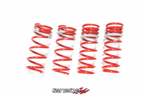 TANABE NF210 TNF041 LOWERING SPRINGS SUSPENSION 97-01 ACURA INTEGRA ...