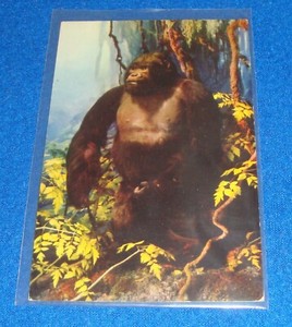 ADM Cards&Collectibles | eBay Stores