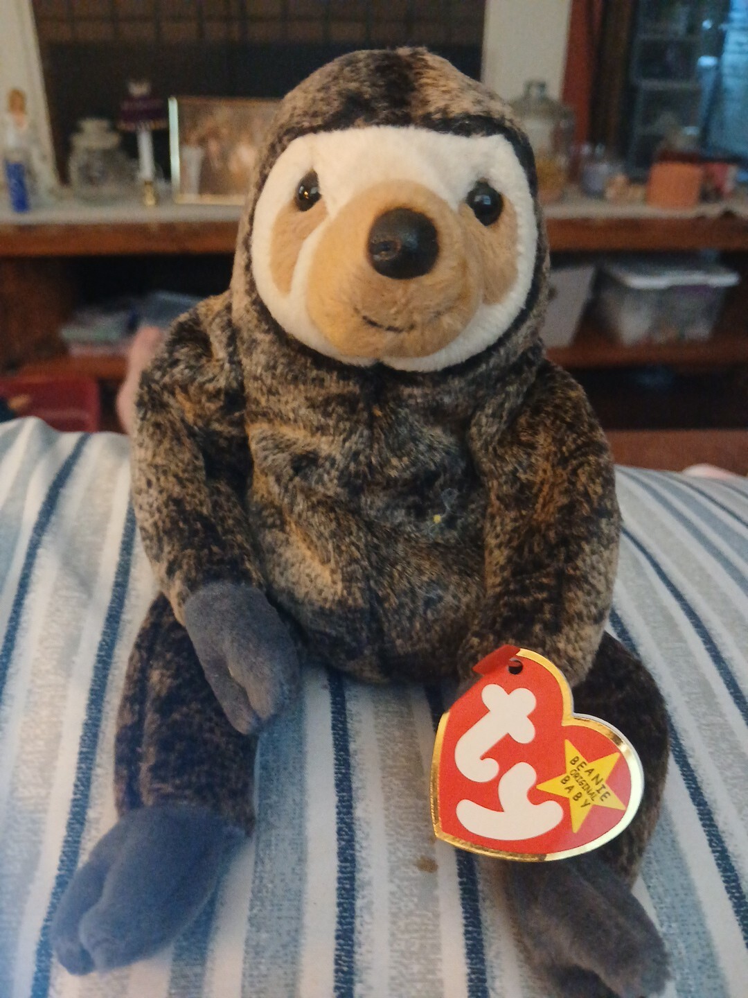 Ty Beanies Slowpoke The Sloth Rare and RETIRED WITH EROORS | eBay