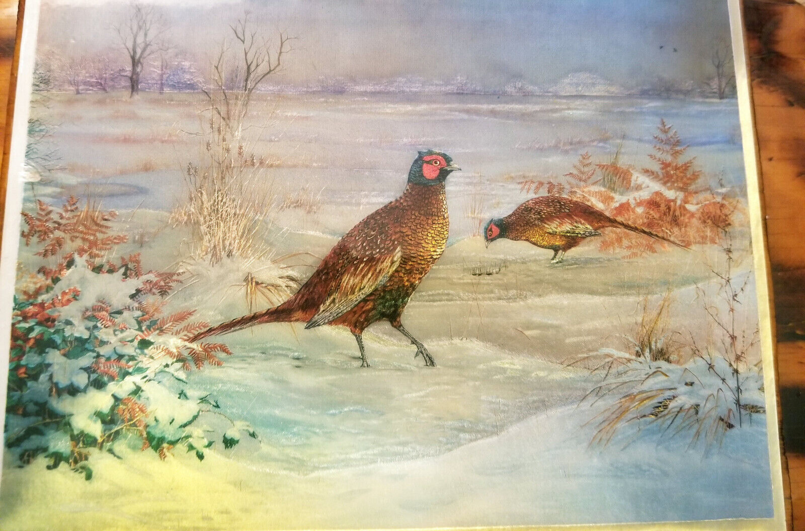 Pheasant Print Lacquered Wood Wall Hanging Plaque Wildlife Nature Birds ...