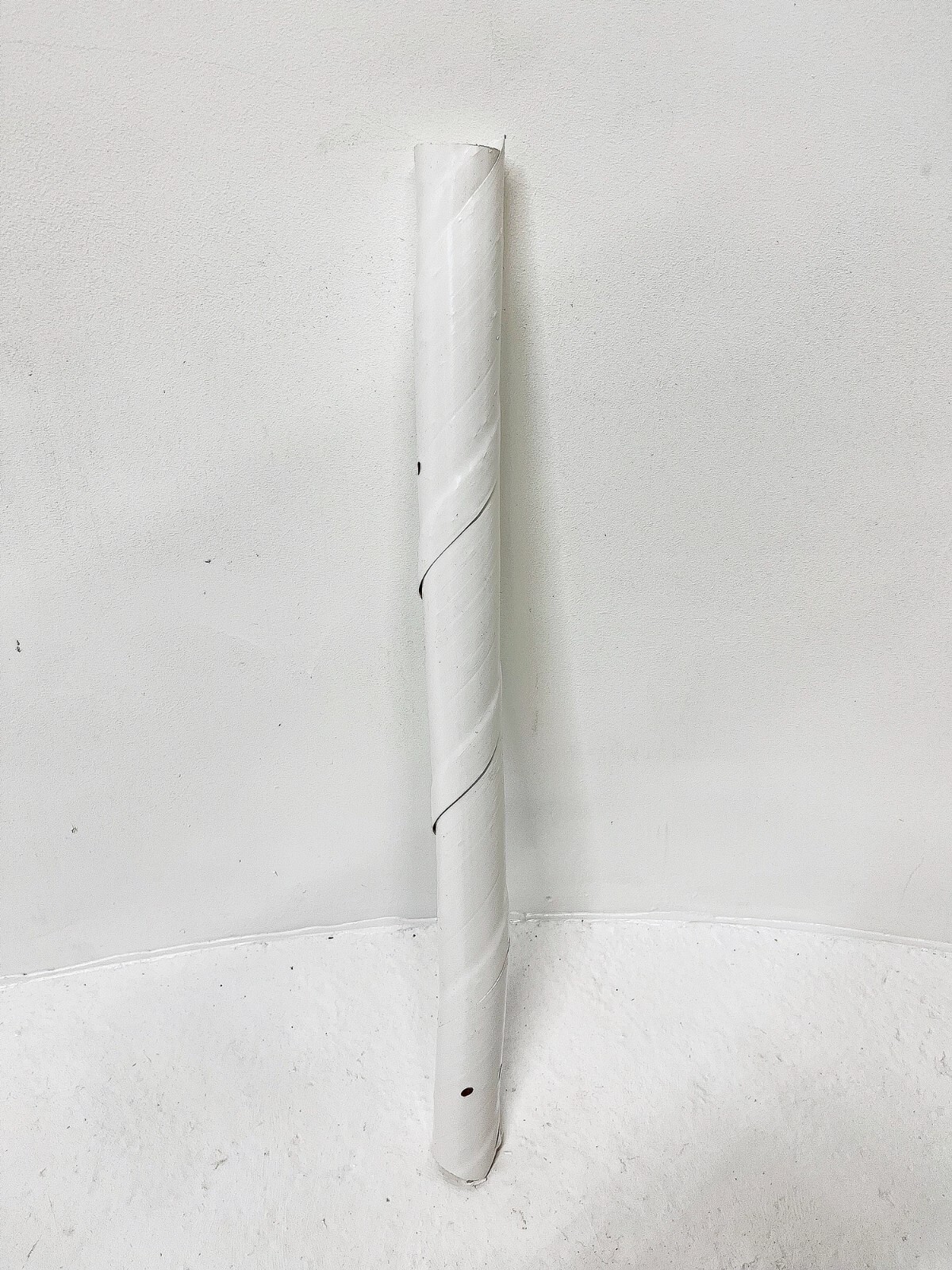 Spiral Guard Defenders to protect your hedge plants and saplings from ...