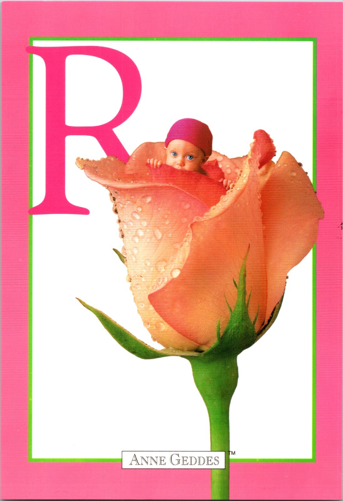 Postcard R is for Rose Baby in a Rose Outfit Anne Geddes Alphabet | eBay