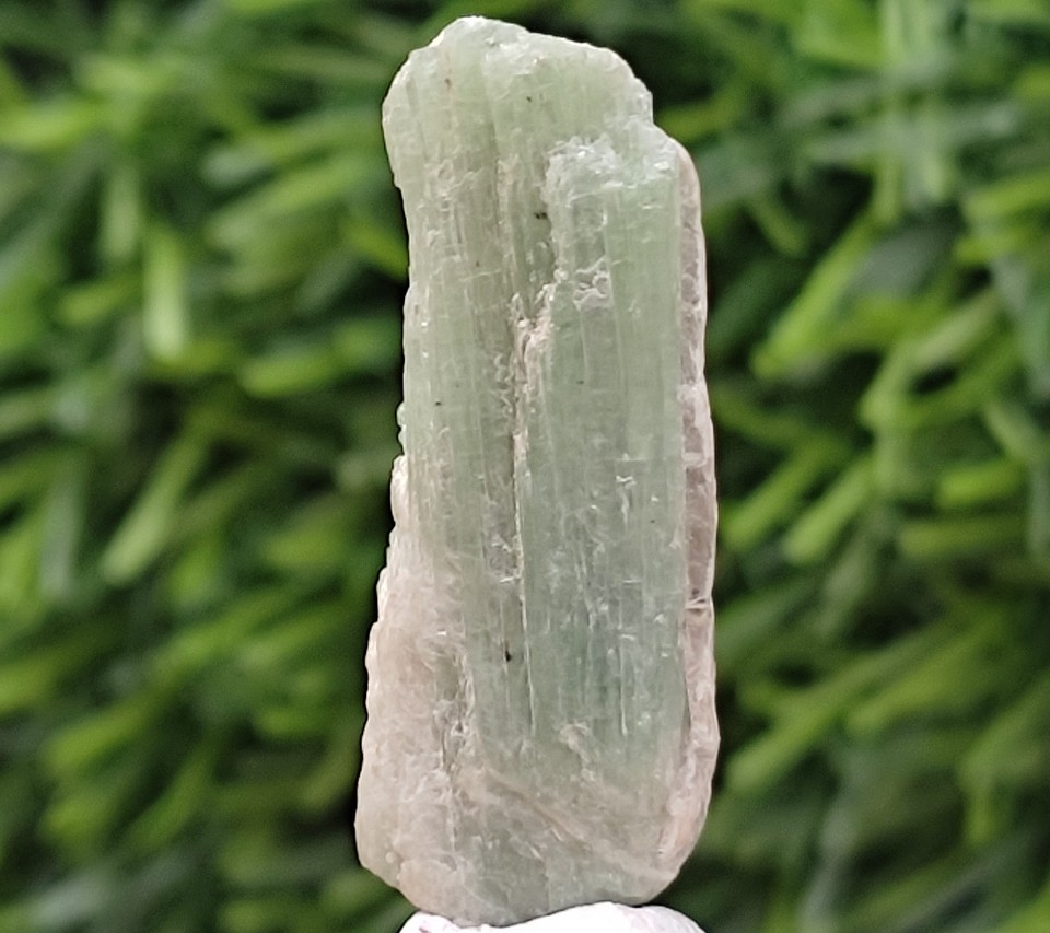 Natural Green Tourmaline Crystal with Feldspar (CG 439) Daylight Photos ...