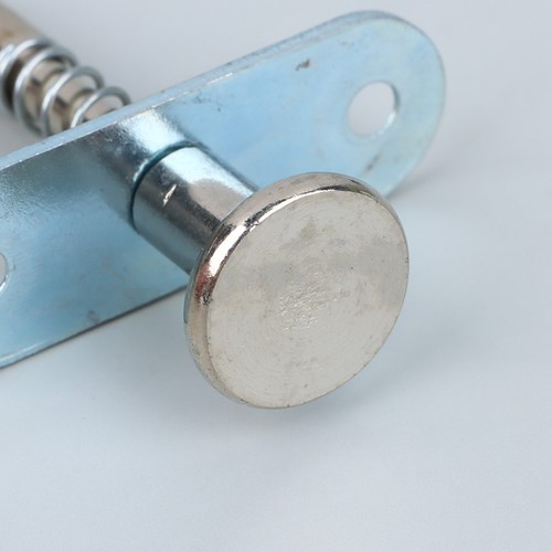 2pcs Plunger Latches Spring-Loaded Door Lift Adjustment Rod Latch Door ...