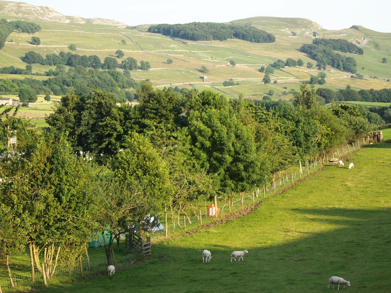Gaugemaster GM59 Trix Style N Gauge Wheel Cleaner Brush + T48 Post | eBay