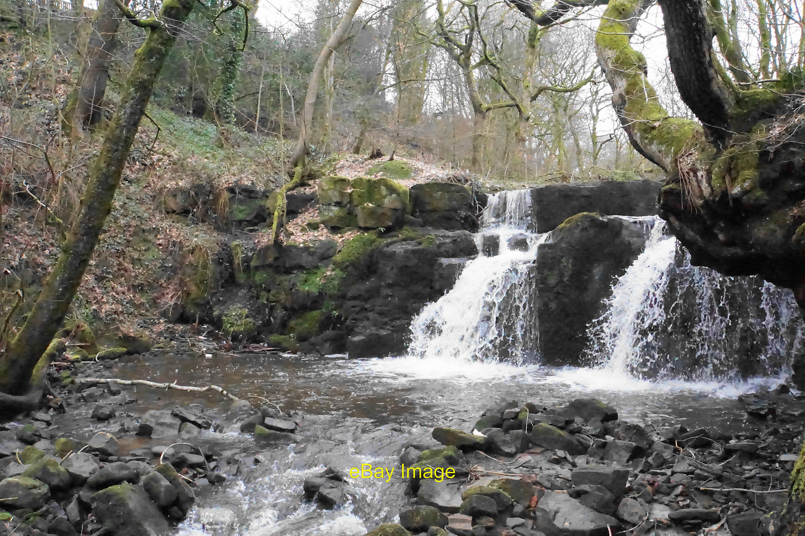 Photo 12x8 Waterfall on Holcombe Brook Ramsbottom Much of the brook has ...