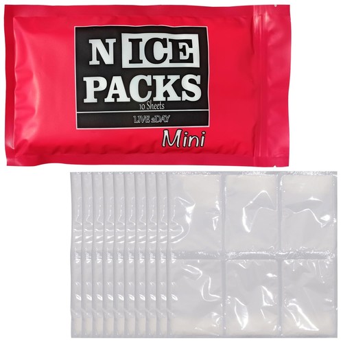 Nice Packs Reusable Dry Ice Packs for Shipping Frozen Food, Coolers ...