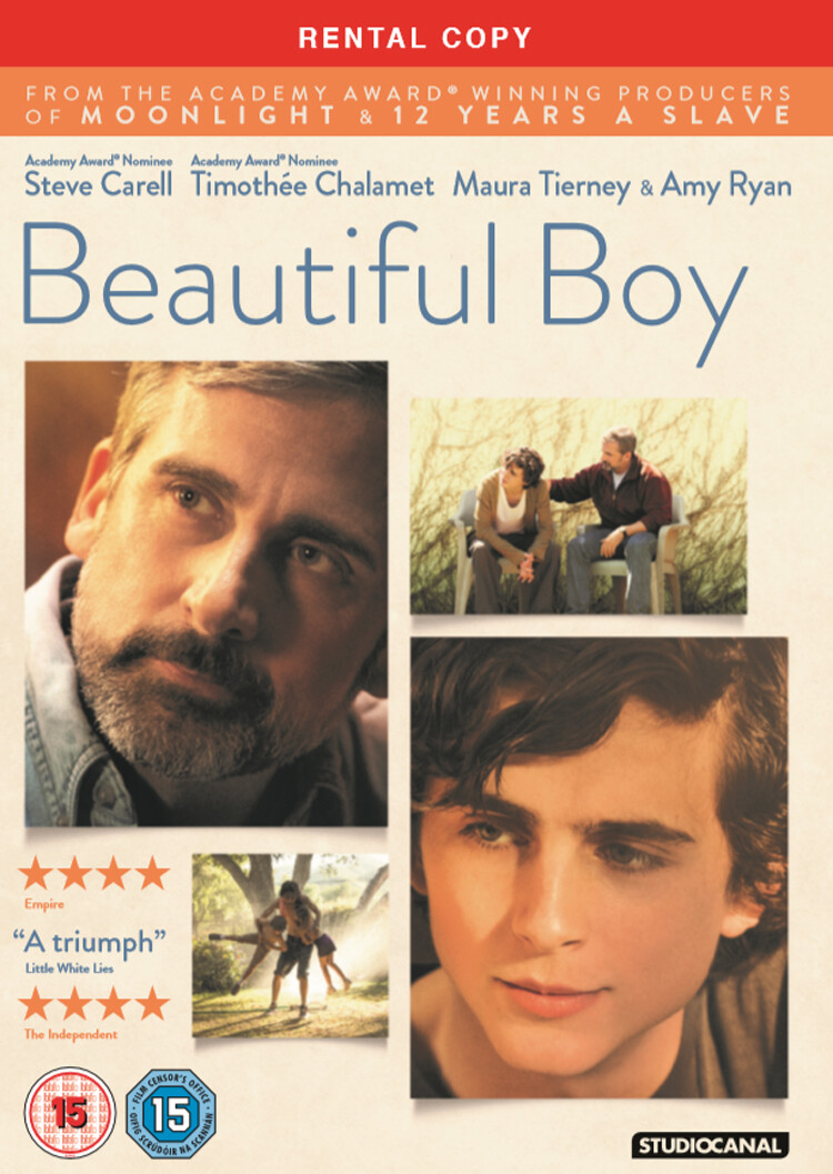 Beautiful Boy (DVD) Steve Carell Kaitlyn Dever Timothée Chalamet (UK ...