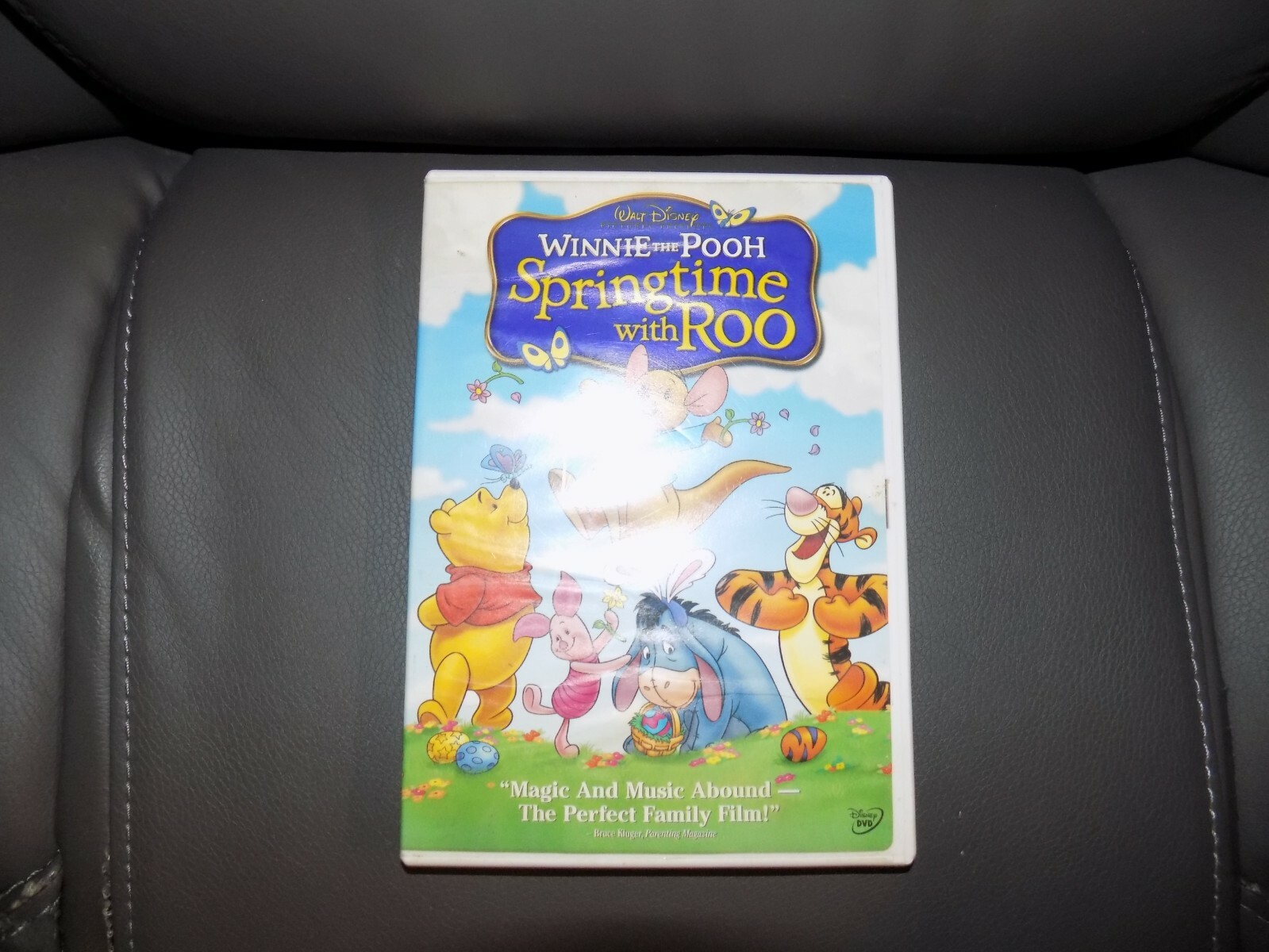 Winnie the Pooh - Springtime with Roo (DVD, 2004) | eBay
