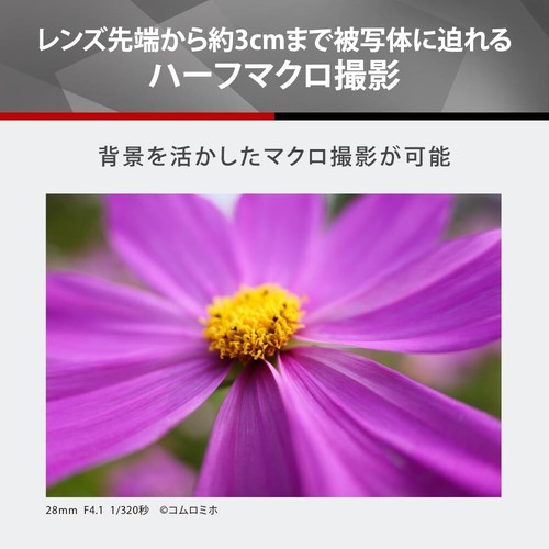 Panasonic High Magnification Zoom Lens L Mount LUMIX S 28-200mm F4-7.1 ...