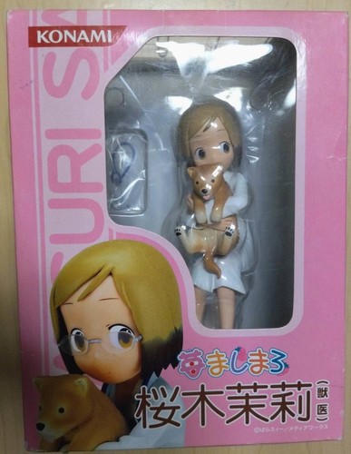 Strawberry Mashimaro Sakuragi Mari Veterinary Figure Rose Strawberry ...