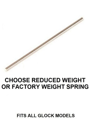 Stainless Steel Magazine Catch Spring For All Glocks Choose Spring ...