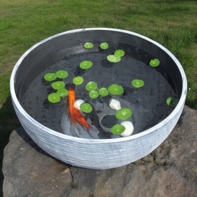 Water Plant Pot or Bowl, Medaka Bowl - Bowl to hold water, Floating ...