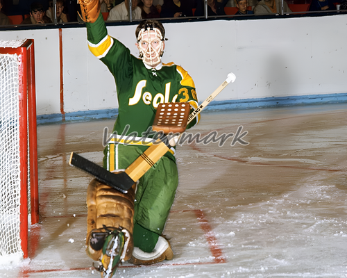 70 - 71 NHL California Golden Seal Goalie Bob Sneddon Pretzel Mask 8 X ...