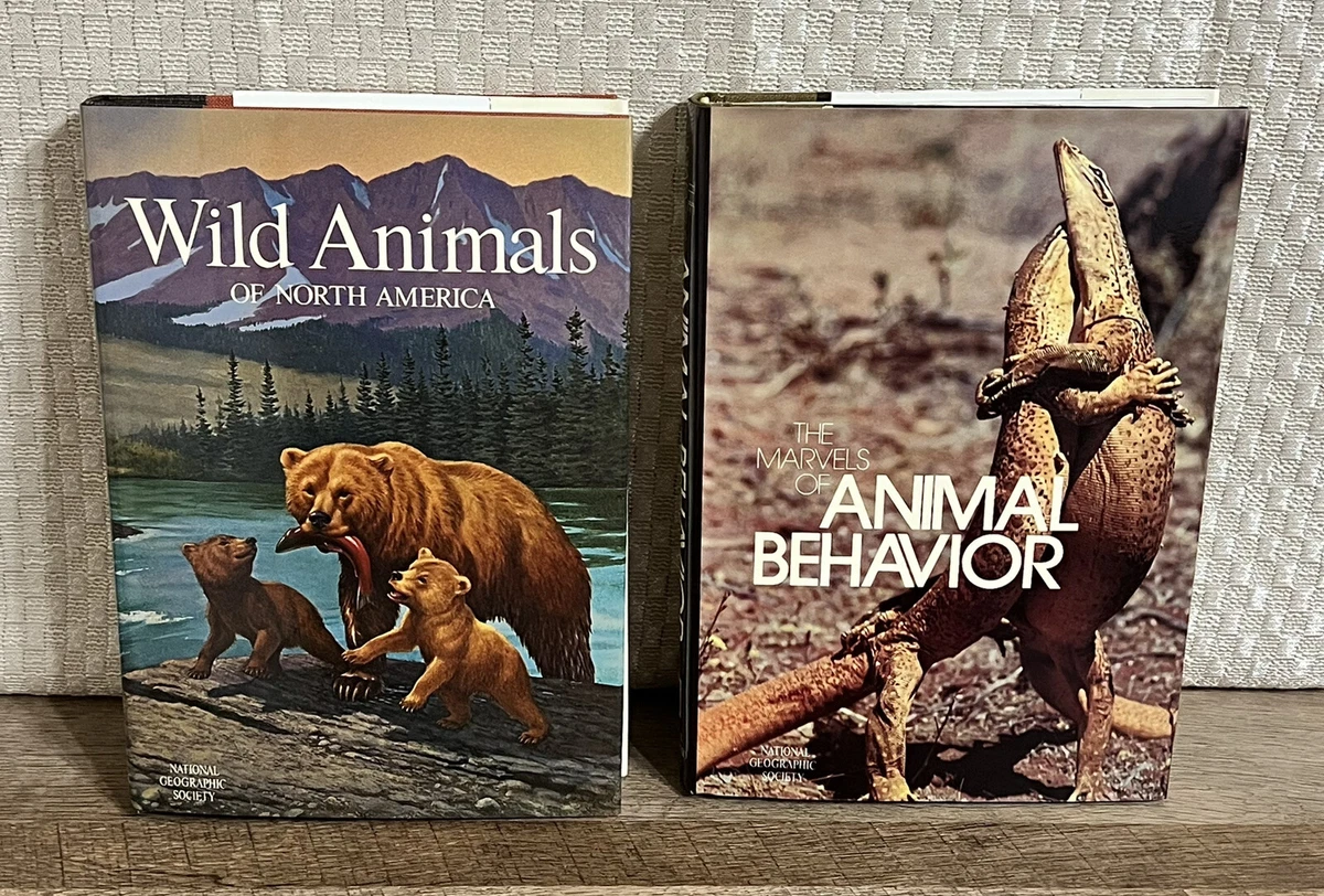 Wild Animal Behaviour