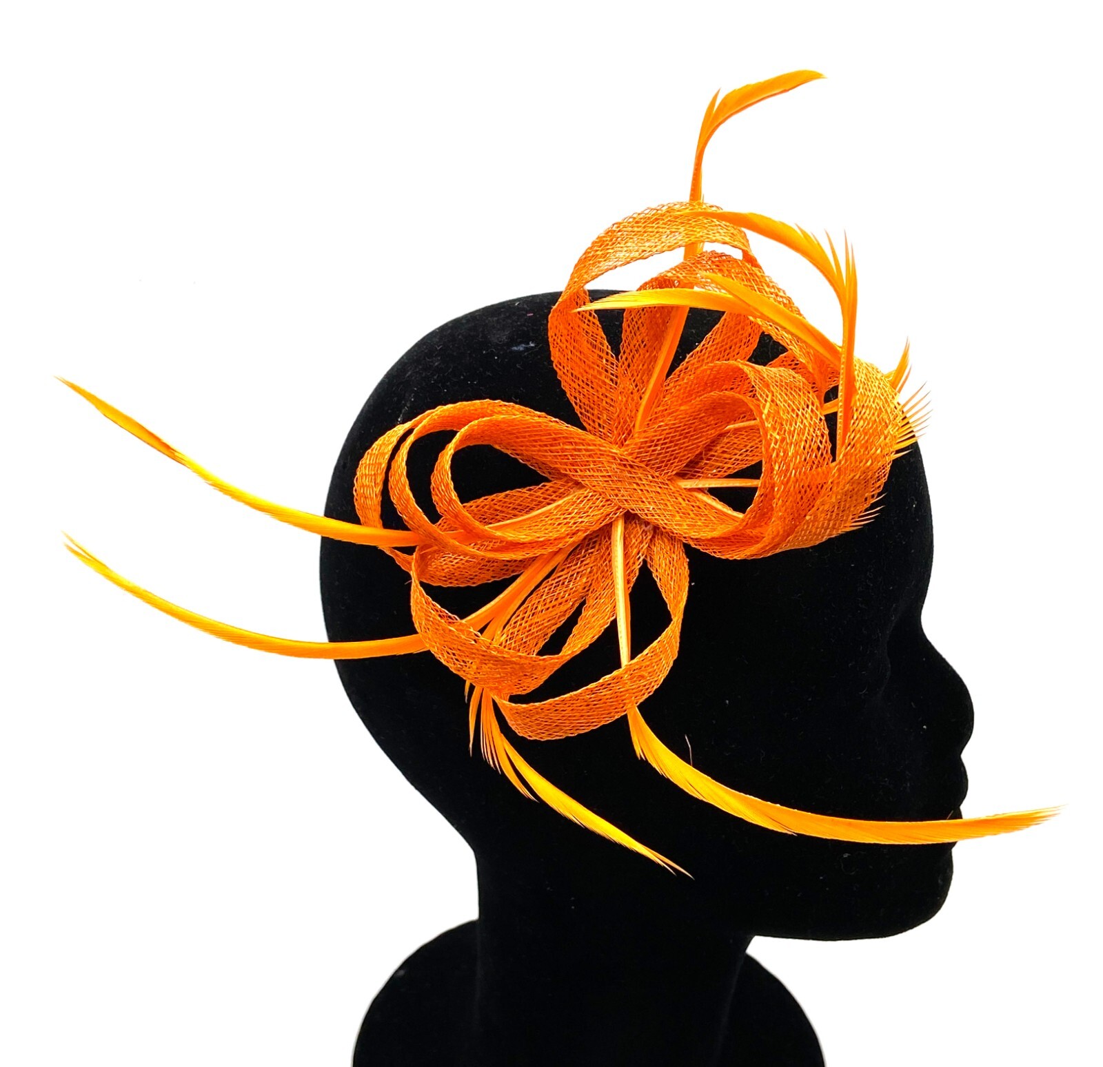 Ladies Feather Beak Clip Fascinator Weddings Races Ascot Hair Piece ...