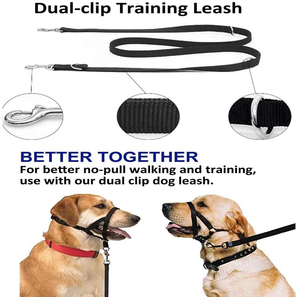 Leader Dog Training