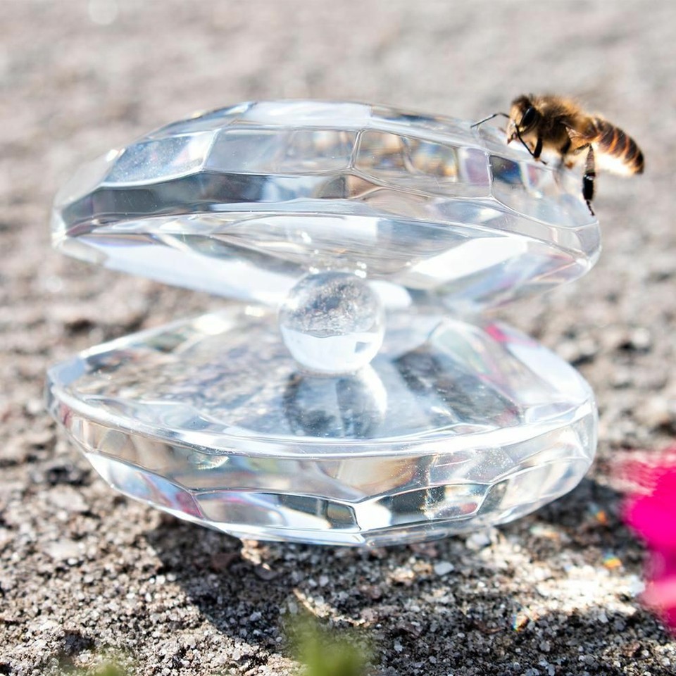 Reflective Sea Shell Pearl Figurine Crystal Paperweight Home Wedding ...