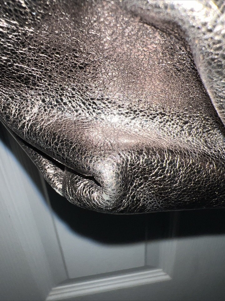 COACH Brooke Handbag Leather Pewter Silver Metallic Hobo Bag Purse ...