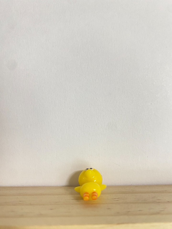 Sesame Street Big Bird Standing Bath Bomb Kids Japanese Toy Yellow From ...