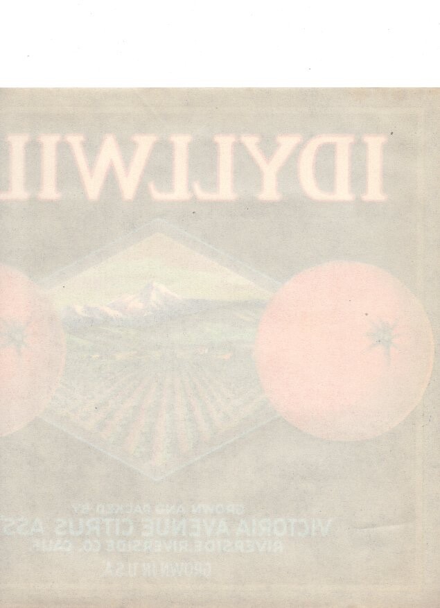 Idyllwild Brand 1940s VINTAGE California Orange Crate Label NOT A COPY ...