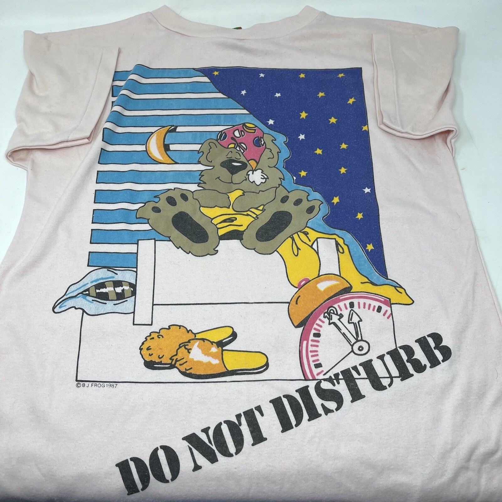 Vintage 1987 BJ Frog Do Not Disturb Long Sleeping Sh… - Gem