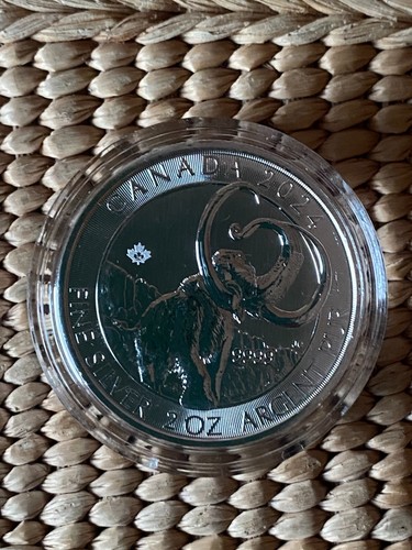 Canadian Mint, 1x2oz 10dollars, 2024, Ice Age Woolly Mammoth silver ...