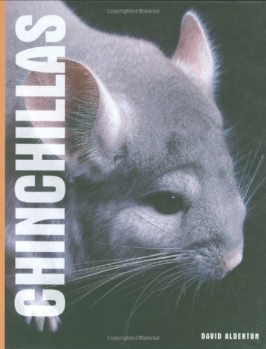 Chinchillas by David Alderton Hardback Book The Fast Free Shipping | eBay