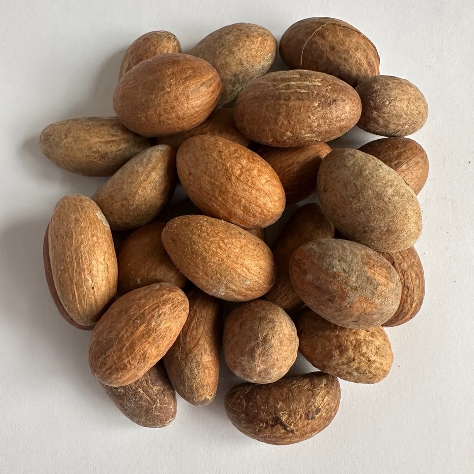 100g African Nigerian Orogbo Native Natural Bitter Kola Nut Garcinia ...