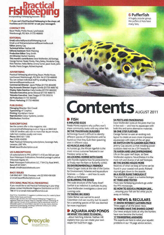 Practical Fishkeeping Magazine Rams Rockpooling Fish Tanks Native ...