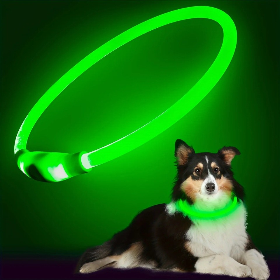 USB Rechargeable LED Dog Pet Collar Flashing Luminous Safety Night ...