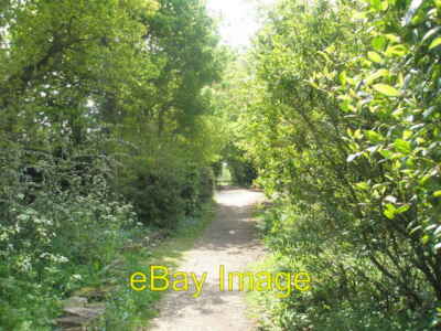 Photo 6x4 Path from Egremont Bridge going towards Broomers Lane Birdham ...
