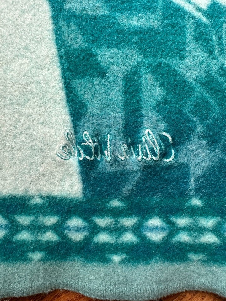 Disney Frozen Pendleton Woolen Mills Kids Blue Blanket SHRUNK READ 36 ...