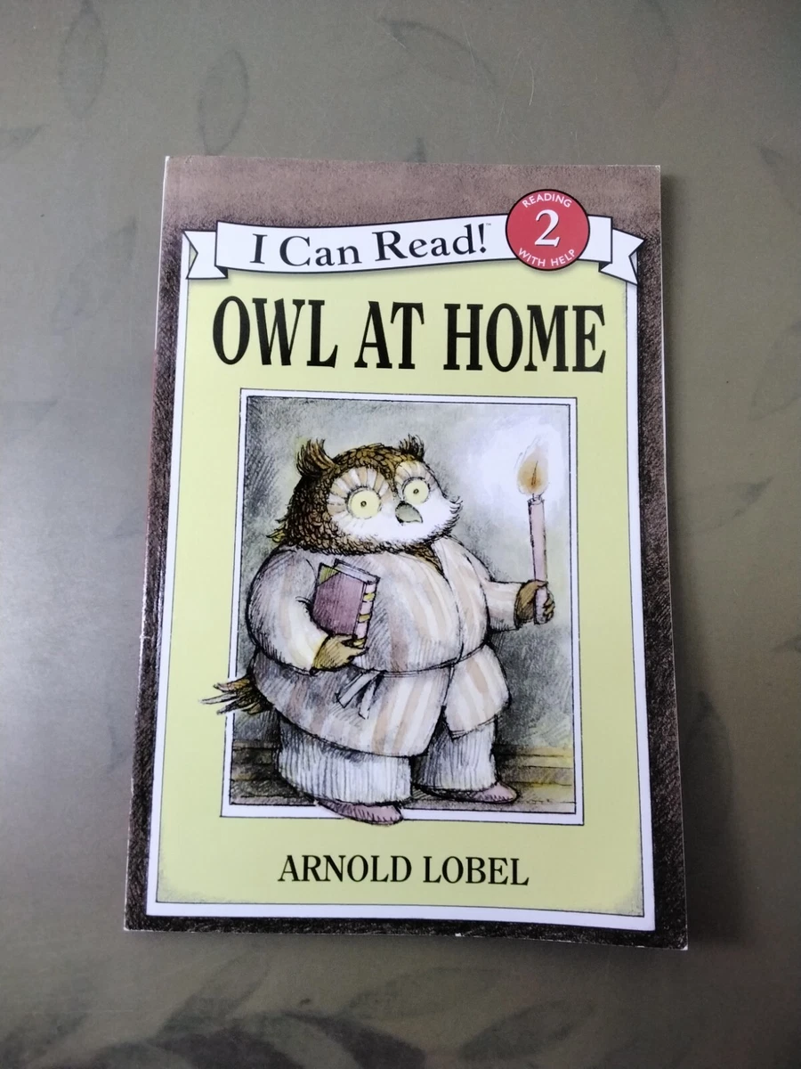 Owl At Home