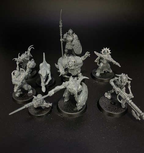 Warhammer Unpainted Model Sampler Lot (x10) - 40k AoS Blood Bowl | eBay