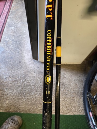 Penn PPT copperhead Evo I + Penn Fathom 12 11 | eBay UK
