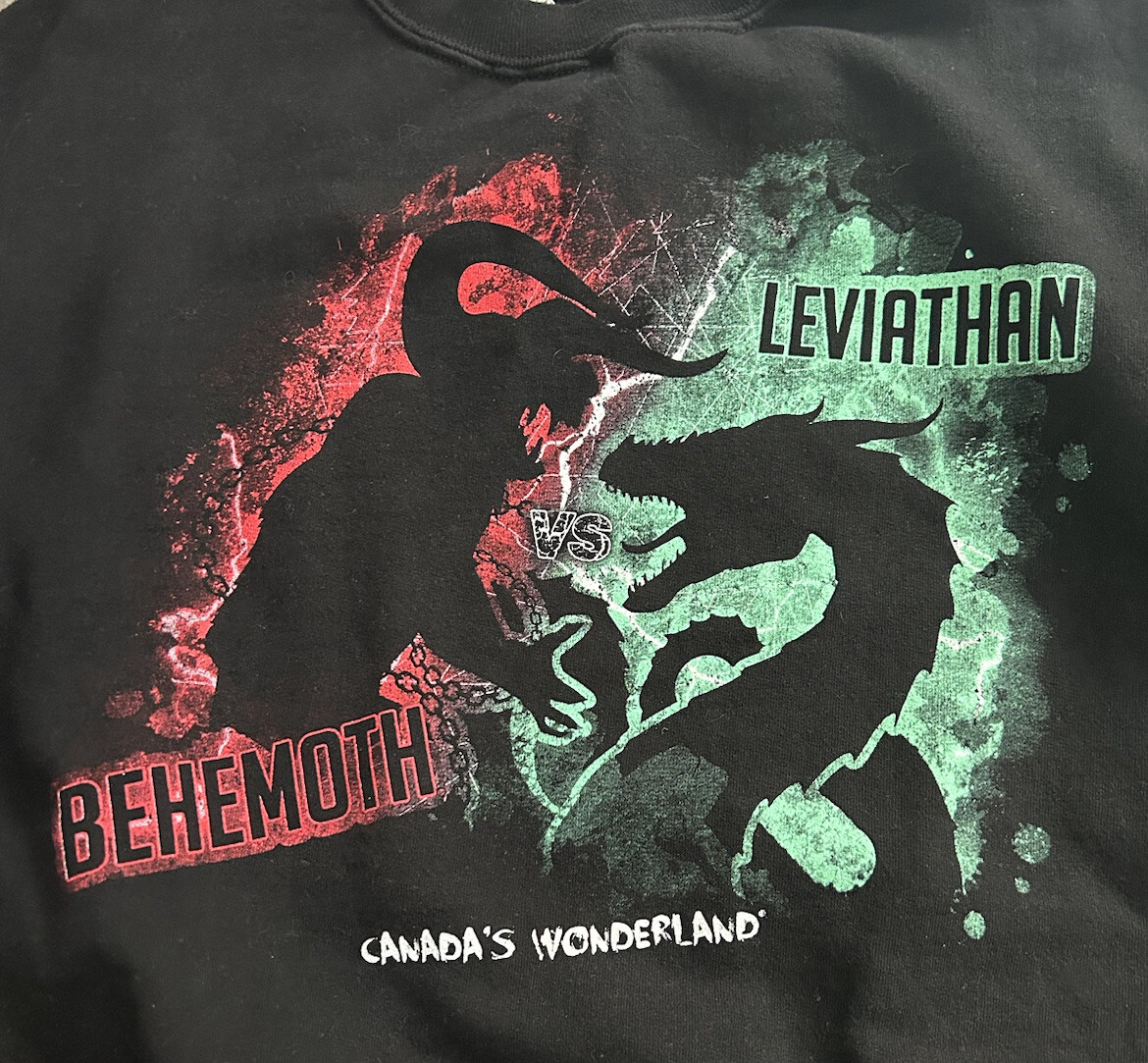 Leviathan Vs Behemoth Roller Coaster