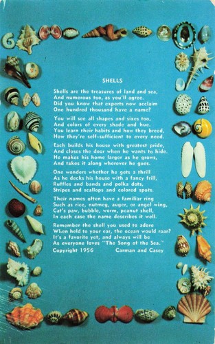 Shells Poem - Carman & Casey - Florida FL - PM 1957 Postcard | eBay