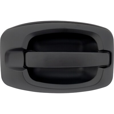 2014-2022 Ram ProMaster 1500 2500 3500 City Rapid Front Door Handle ...