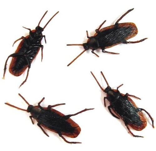 100 BULK COCKROACH BUGS fake creepy bug roach joke cockroaches insects ...
