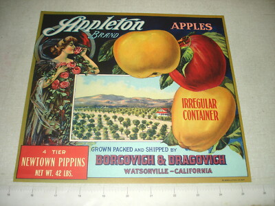 Vintage NOS Orchard Crate Label - APPLETON BRAND APPLES Watsonville CA ...