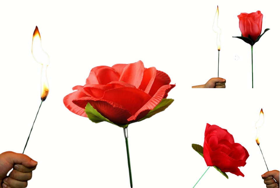 One The Torch to Rose Magic Trick – A Mesmerizing Illusion of ...