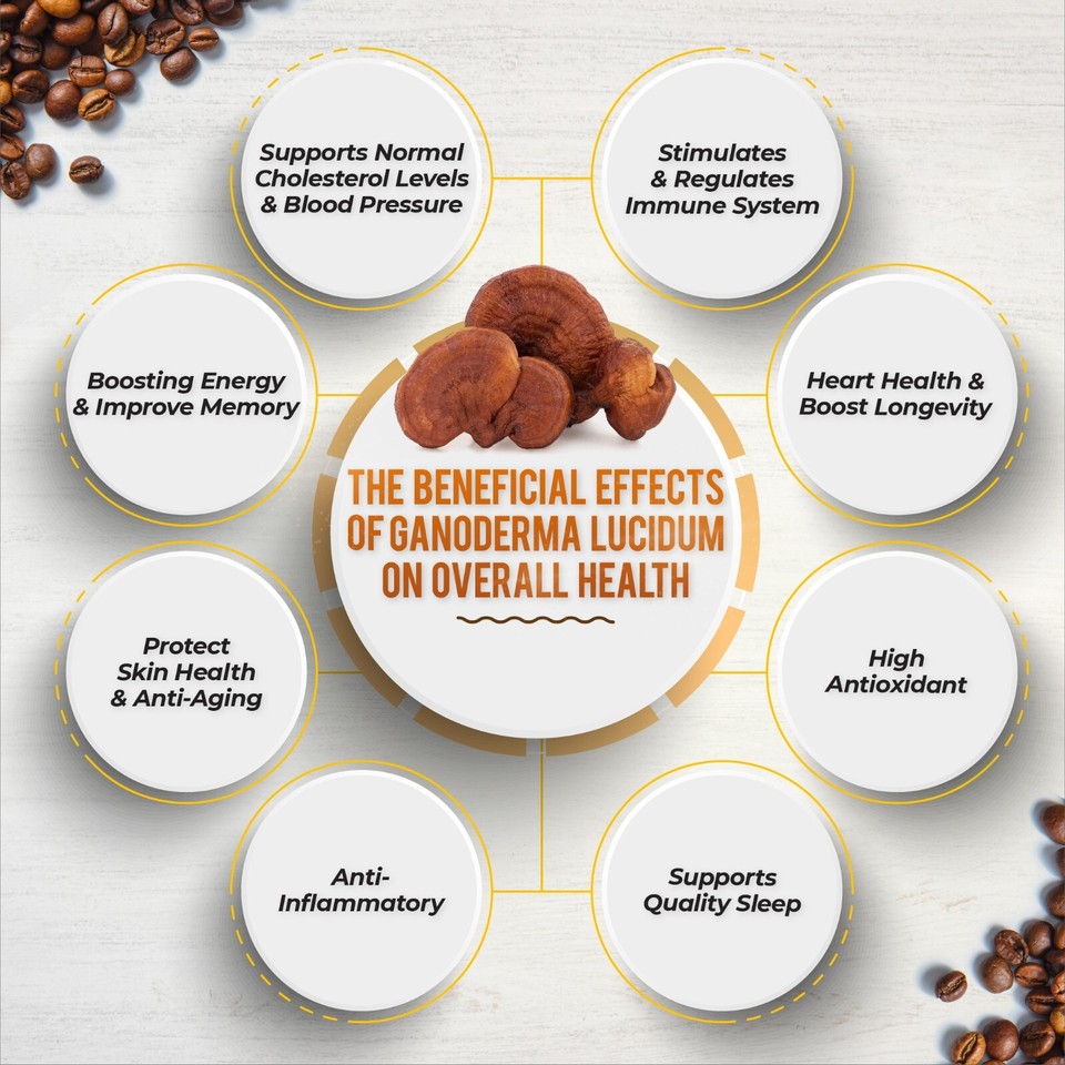30x Nugano Organic Ganoderma Lucidum Black Coffee Reishi Sugar Free ...
