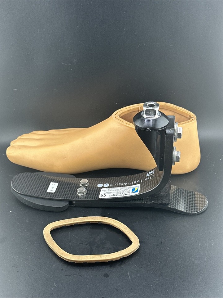 Ossur Flex-foot Flexfoot Flex Foot Assure Prosthetic Foot Sz 27 Cat 4 ...