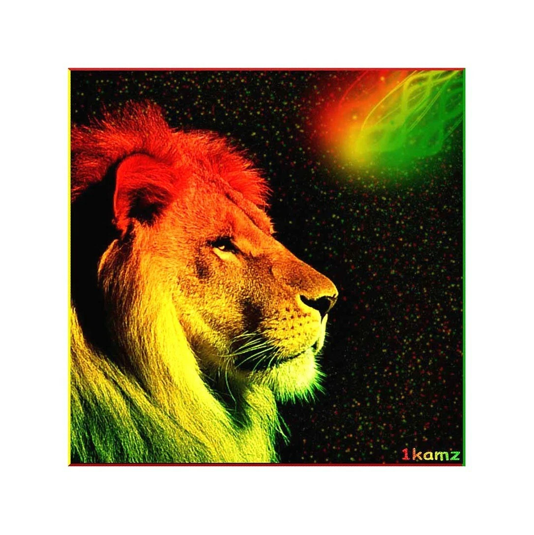 Rasta Lion Poster