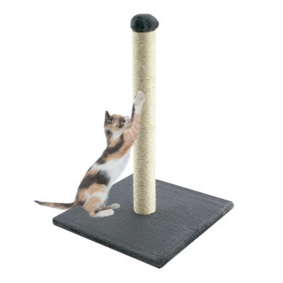 CAT SCRATCHING POLE POST PAD SCRATCHER PLAY STAND SCRATCH KITTEN SISAL ...