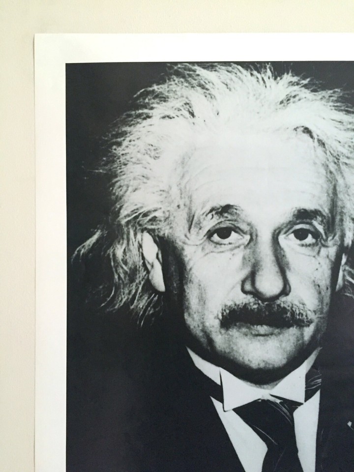 RARE VINTAGE 1988 ALBERT EINSTEIN ESTATE LITHOGRAPH PRINT PHOTO ...