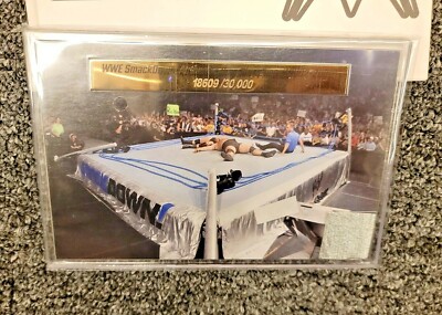 New WWE 2K20 Smackdown Ring Skirt Relic Plaque (2002-2008) 18609/30000 ...